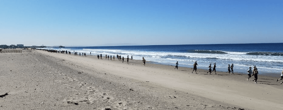 Sandy Shores - The Bay Foundation