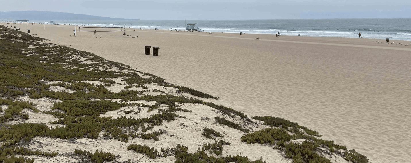 Sandy Shores - The Bay Foundation